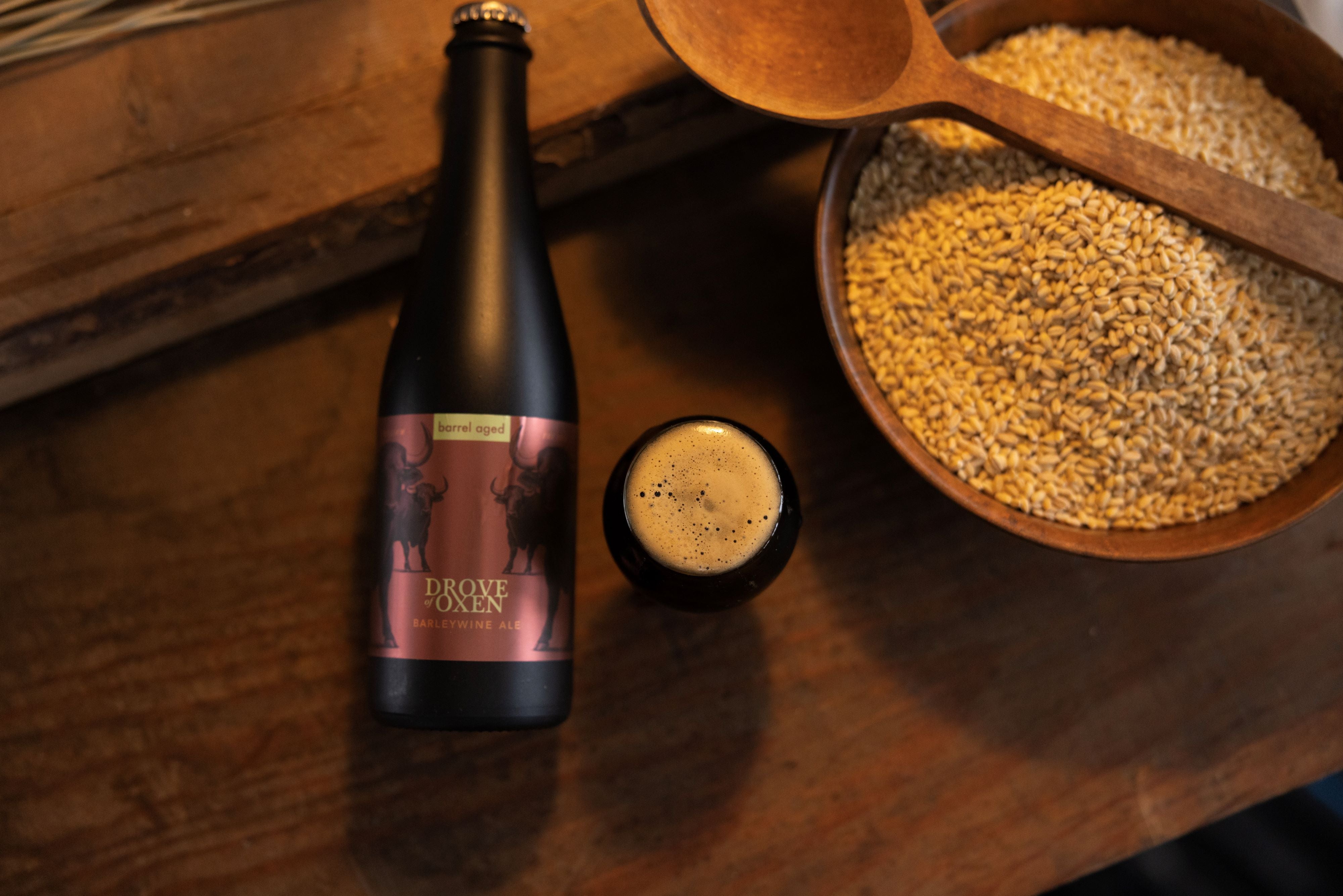 Drove of Oxen – Trilliumbrewing.com