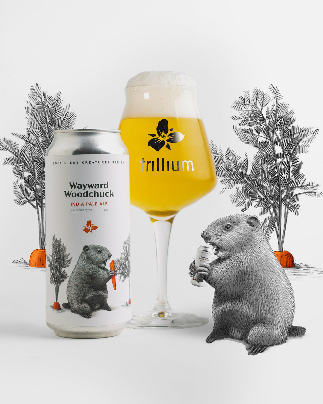 Wayward Woodchuck – Trilliumbrewing.com