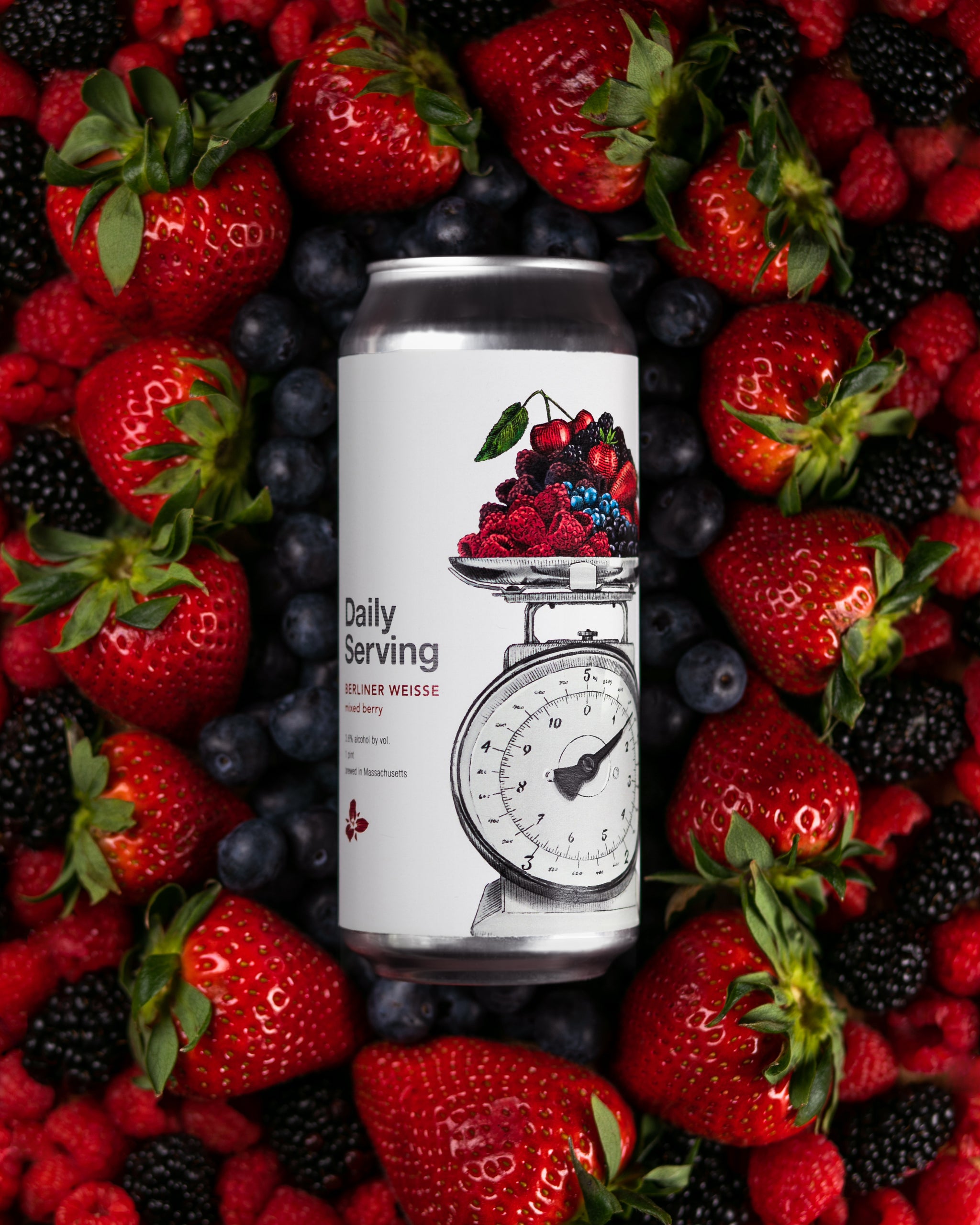 Daily Serving: Mixed Berry – Trilliumbrewing.com