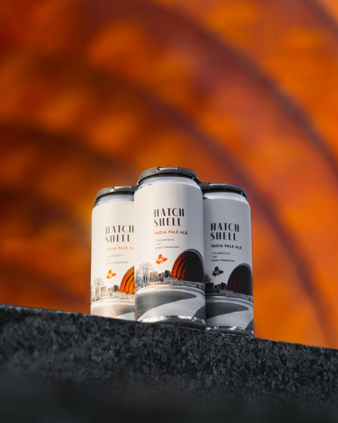 Hatch Shell – Trilliumbrewing.com